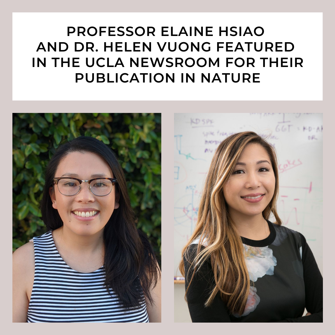 Professor Elaine Hsiao and Dr. Helen Vuong featured in the UCLA Newsroom for their publication ...