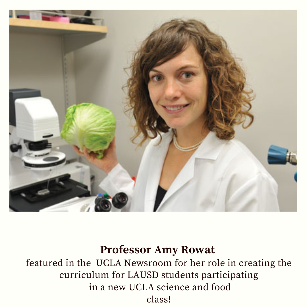 Professor Amy Rowat featured in the UCLA Newsroom - Integrative Biology ...