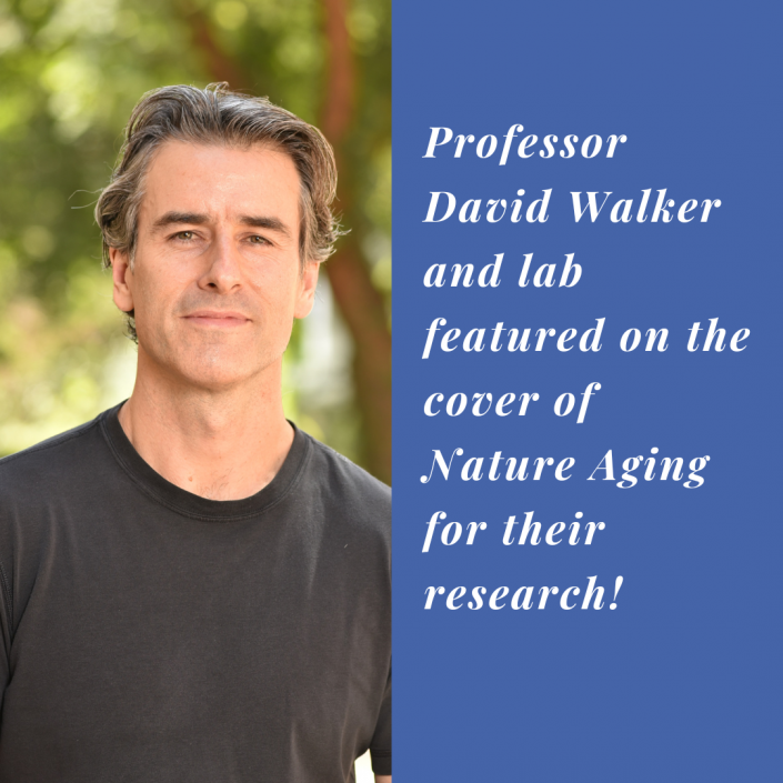 News - Integrative Biology and Physiology