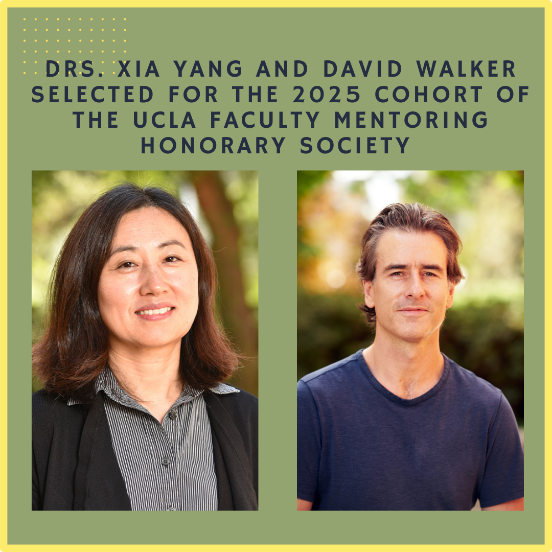 Drs. Xia Yang and David Walker selected for the 2025 cohort of the UCLA Faculty Mentoring ...