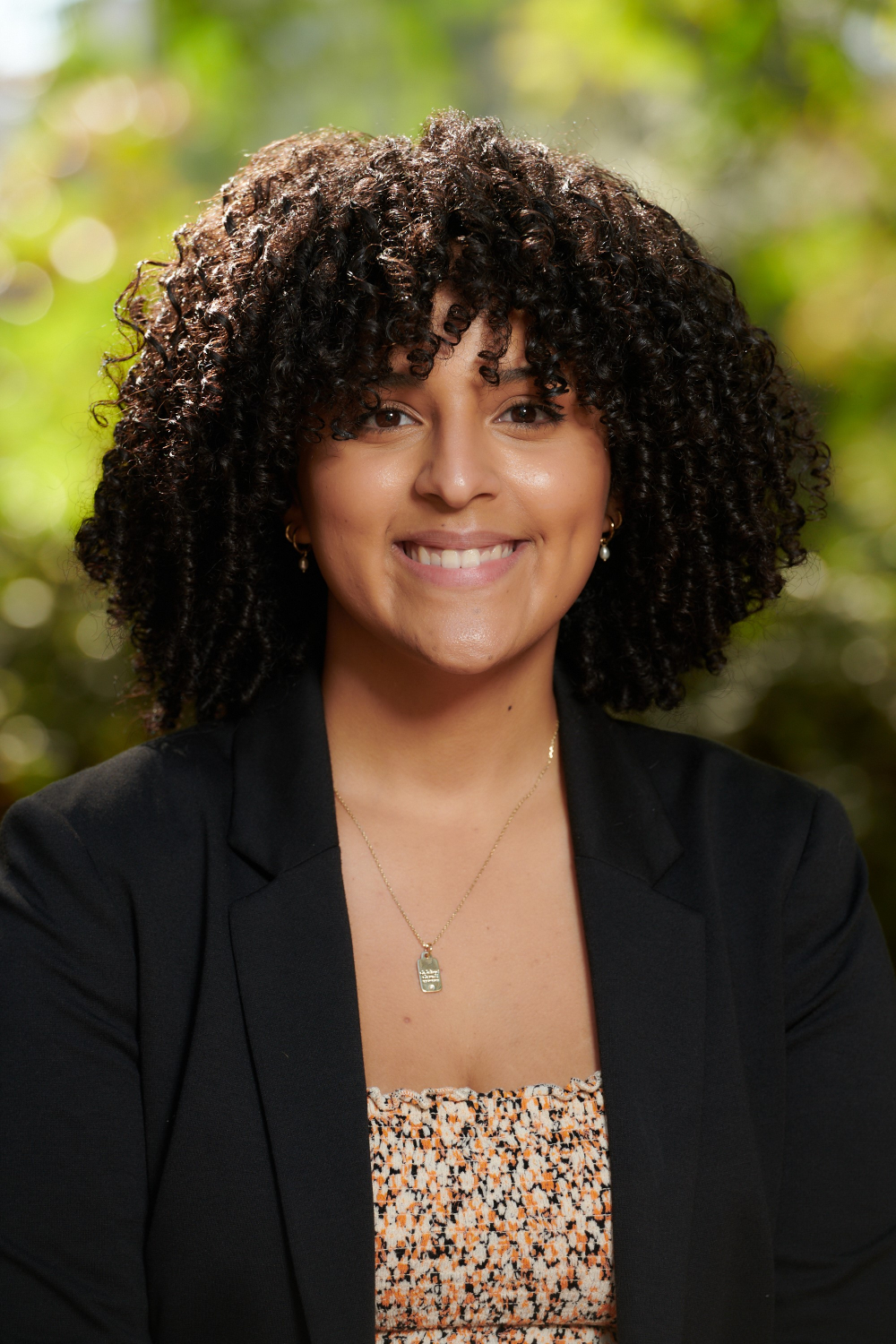 “Locus Coeruleous and Medial Prefrontal Cortex Role in the Inability to ...