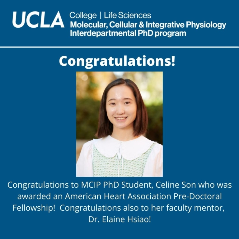 Molecular, Cellular, and Integrative Physiology (MCIP) – UCLA